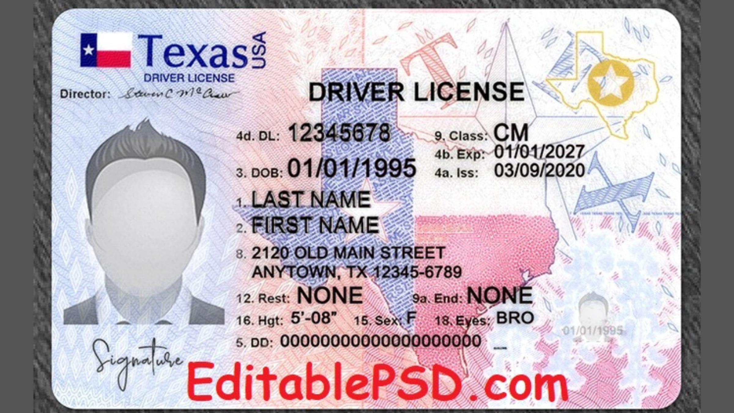 NEW Texas Driving License PSD Template 2023