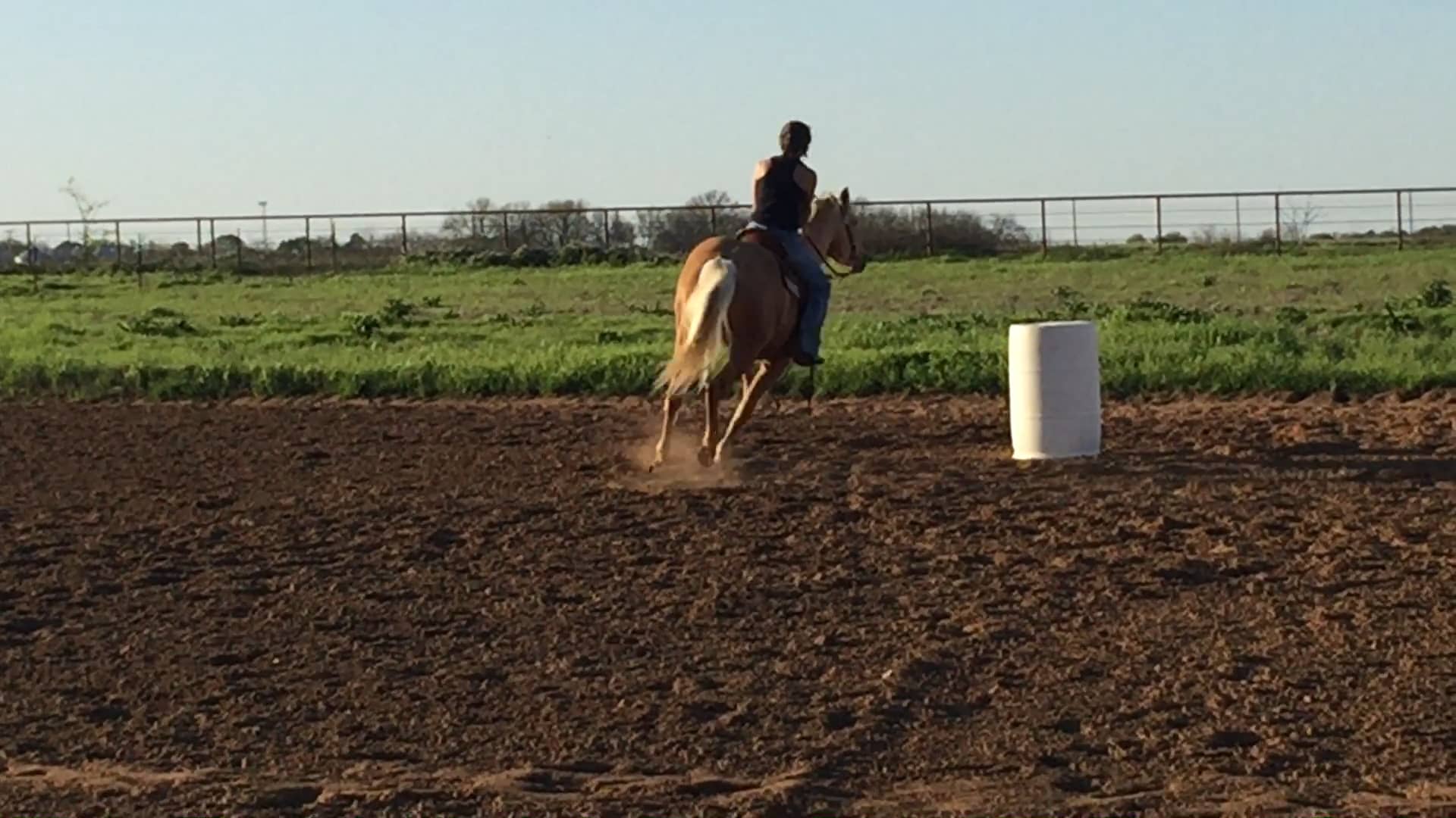 PH Horse Post on Vimeo