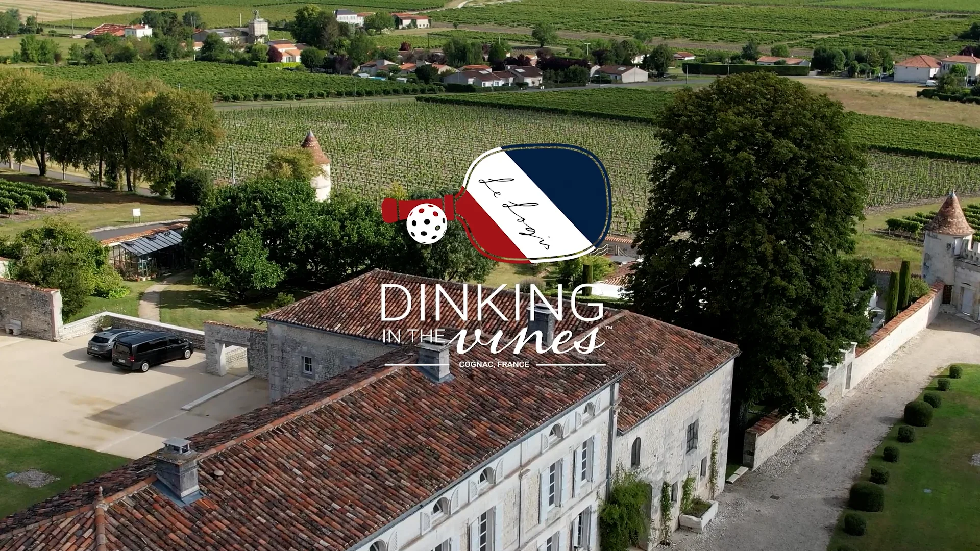 Dinking in the Vines - 2023 on Vimeo