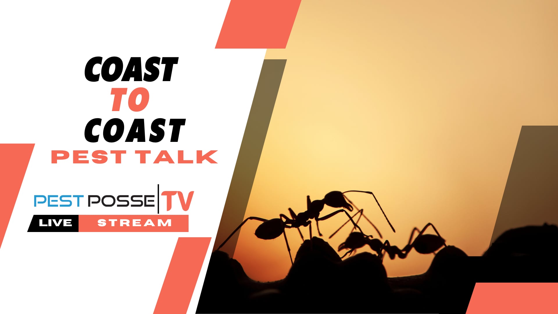 Coast to Coast Pest Talk on Vimeo