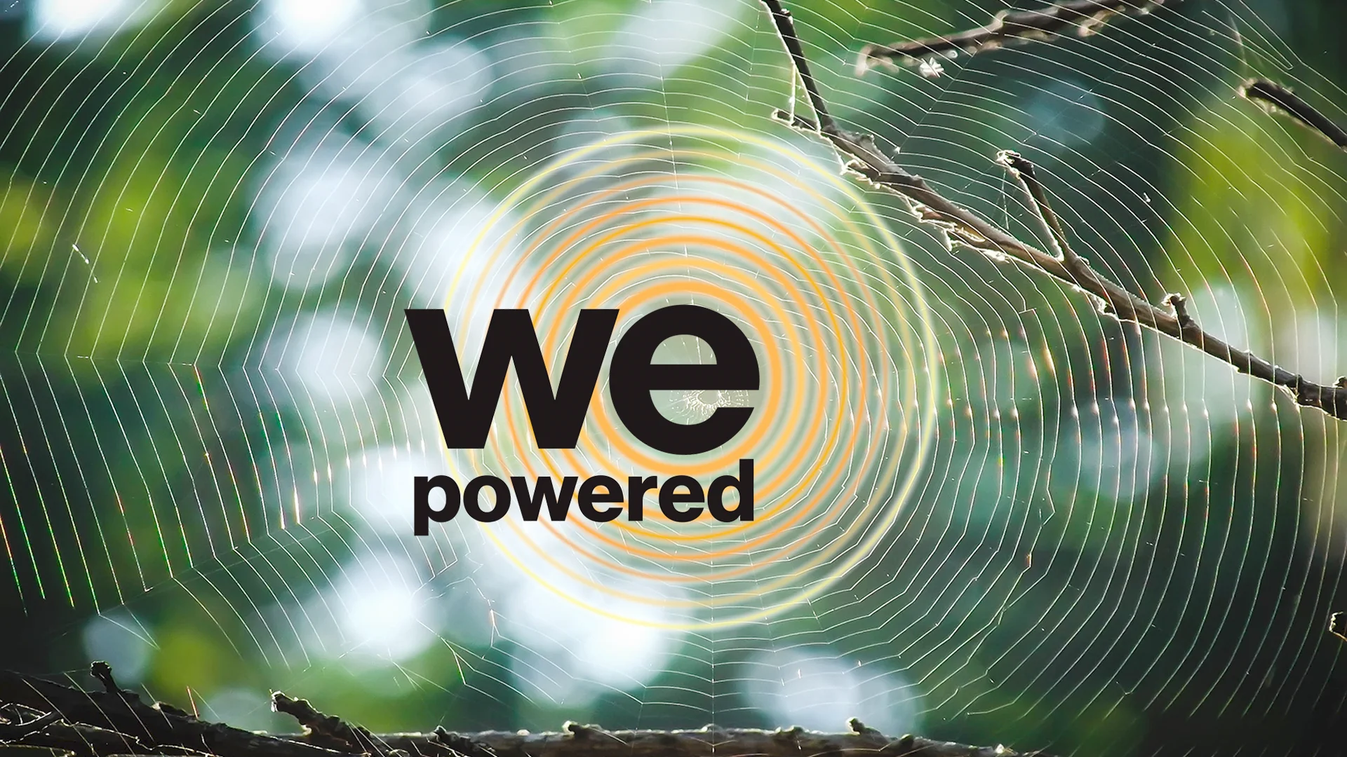 WE-POWERED.com | Website Teaser on Vimeo