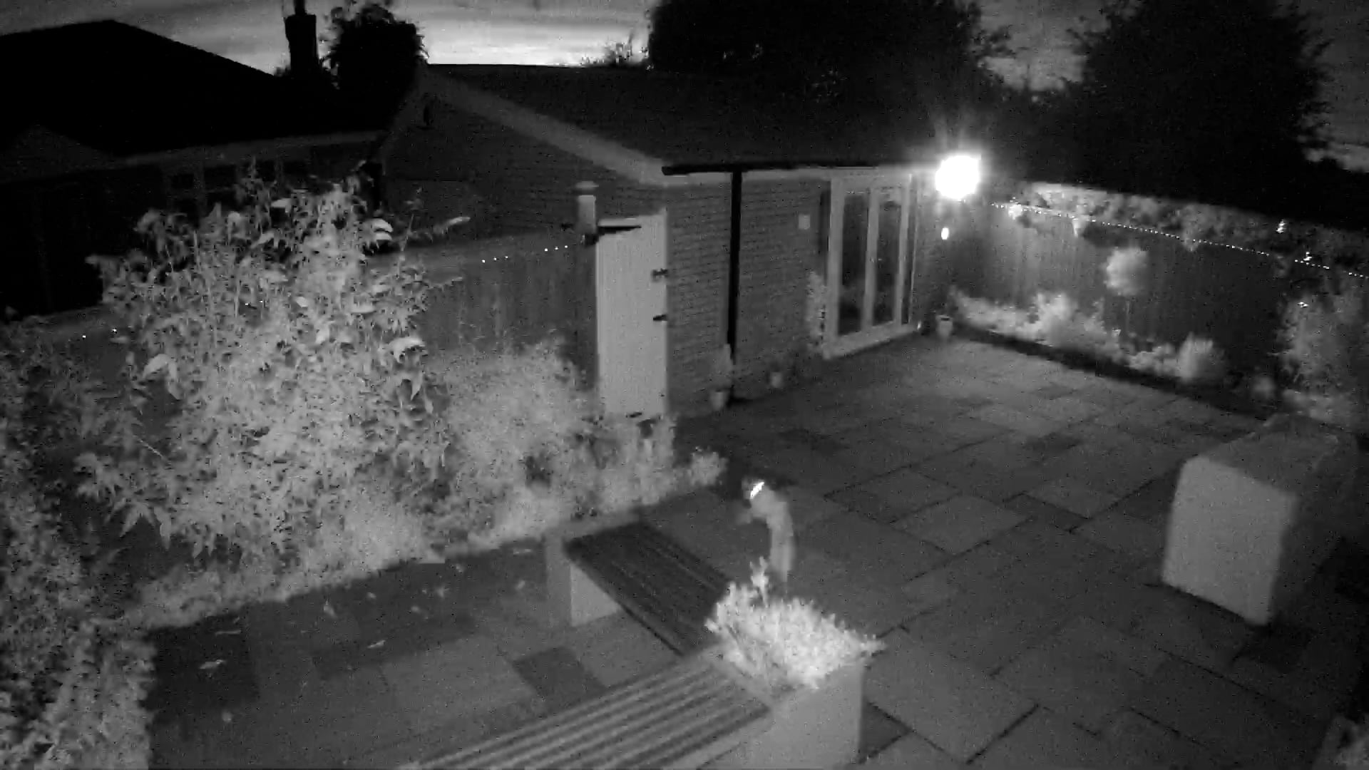 Chasing bats on Vimeo