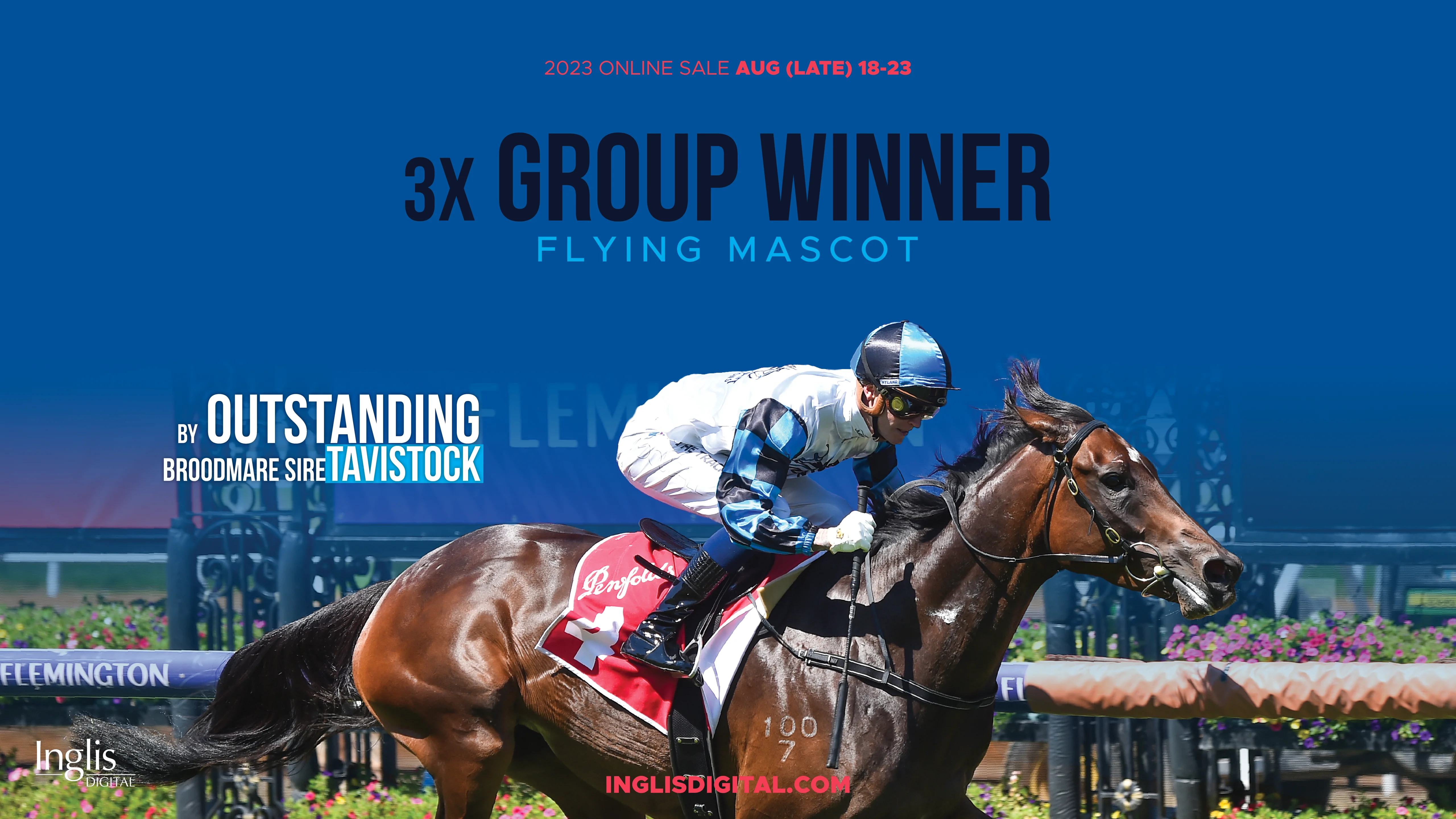 Flying Mascot - Racing Highlights