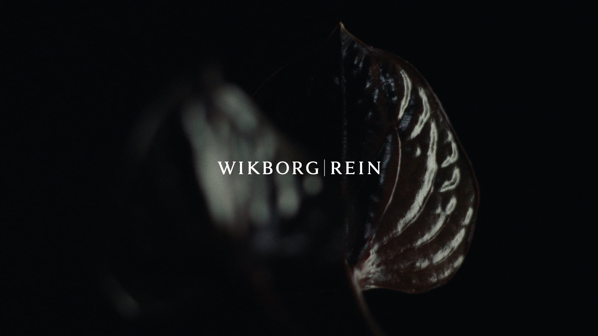 Wikborg Rein - 100 Years Young on Vimeo