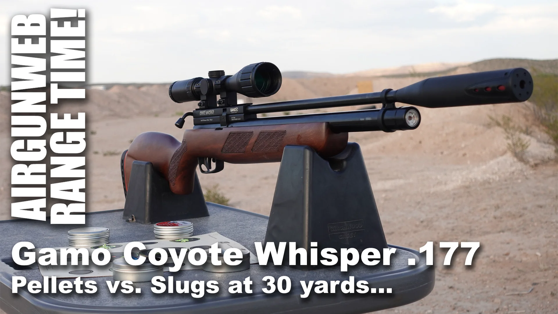 Modern Airgunner - Gamo Coyote Whisper .177 Caliber - JSB pellets vs ...