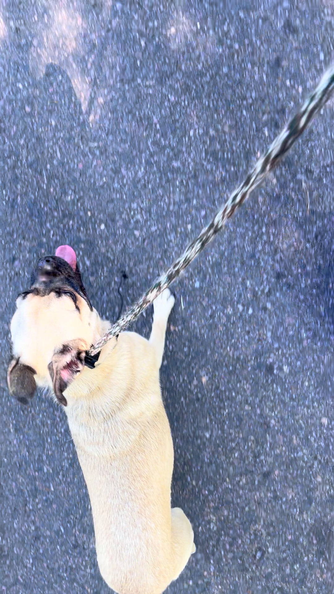 Chug wash park 8-9 on Vimeo
