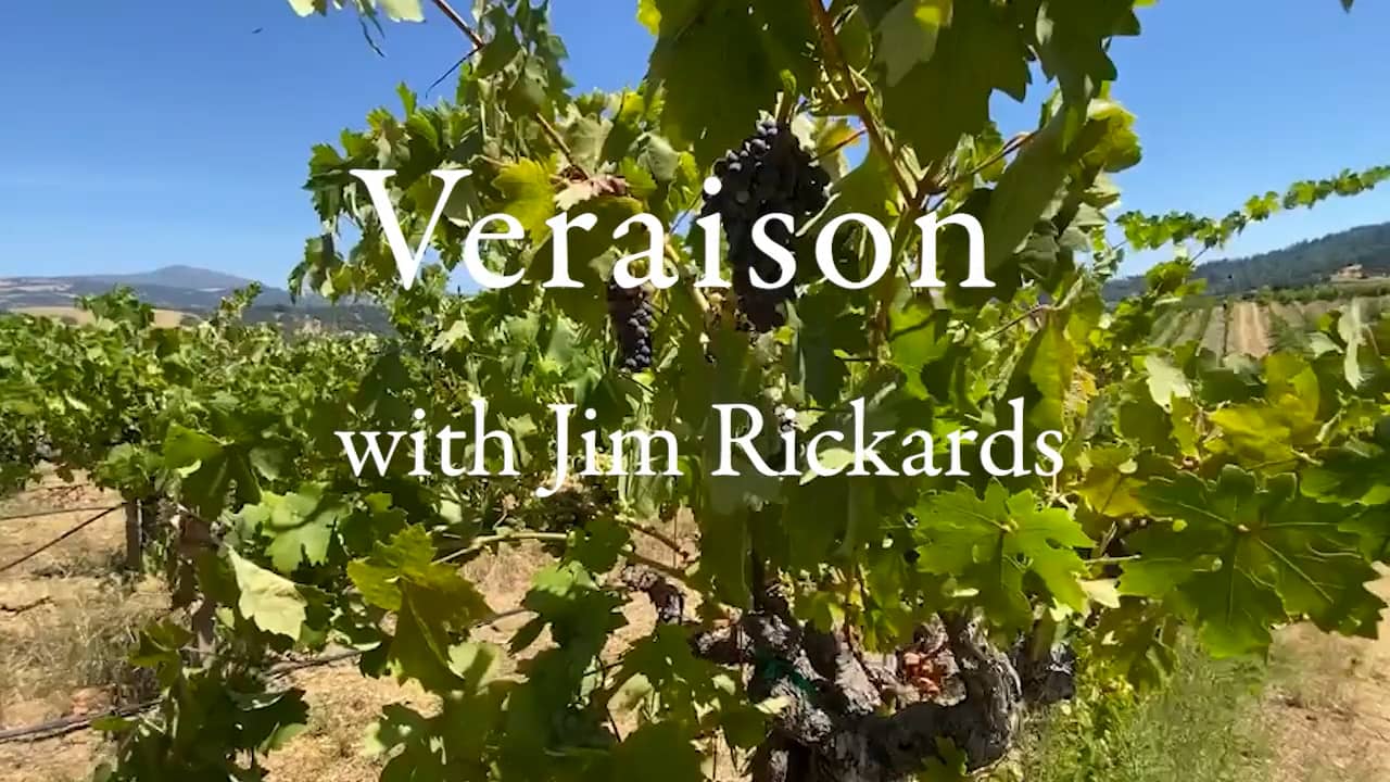 Veraison 2023 at J. Rickards Winery on Vimeo