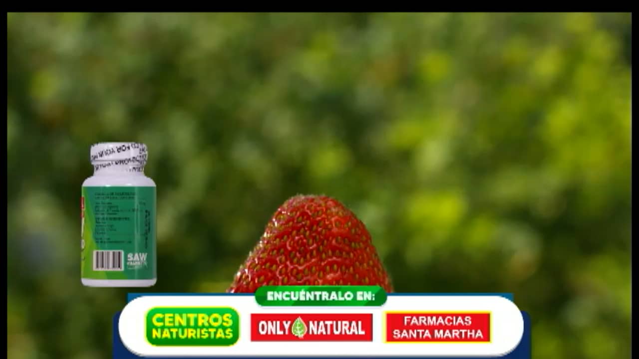 GAMAVISION EN VIVO on Vimeo