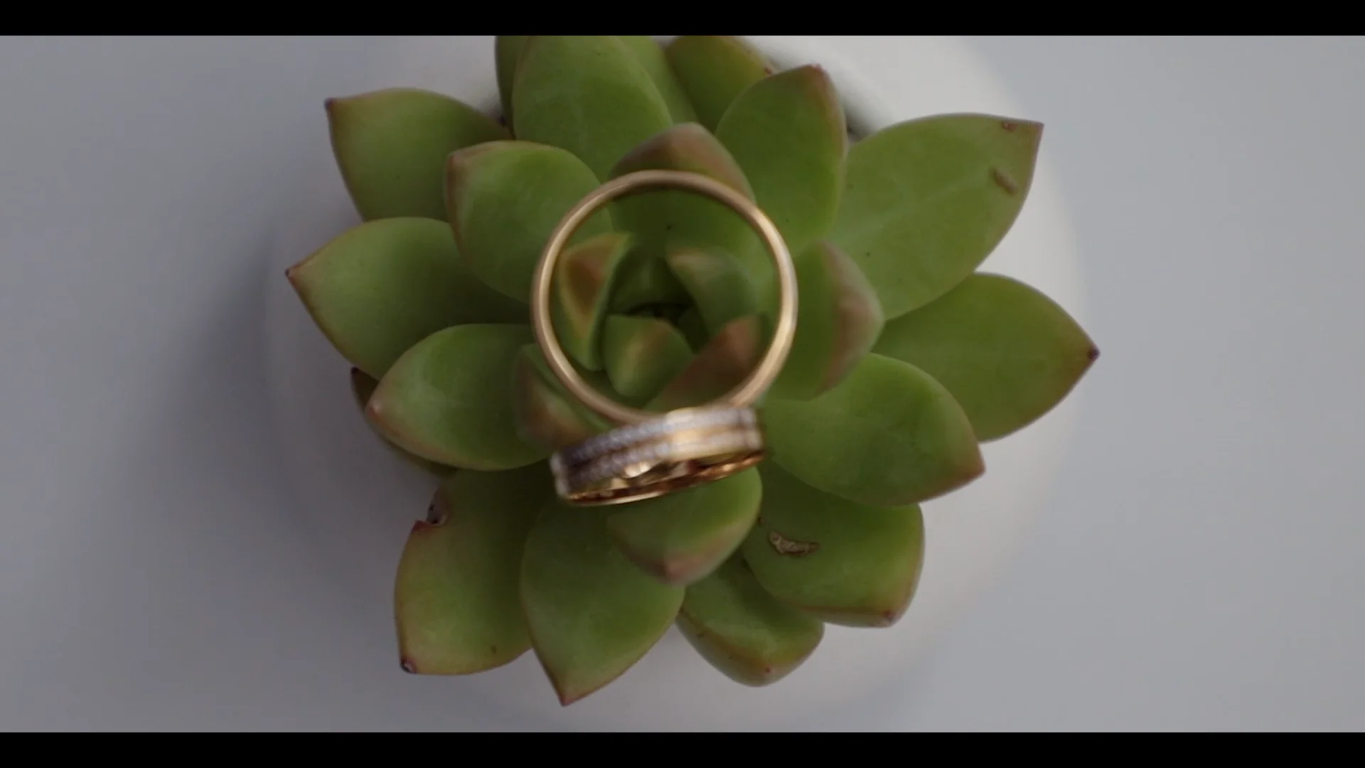 Vero + Ale (short cut)