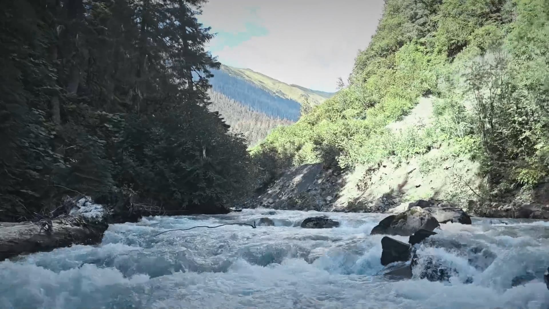 steve lemon 2023 on Vimeo
