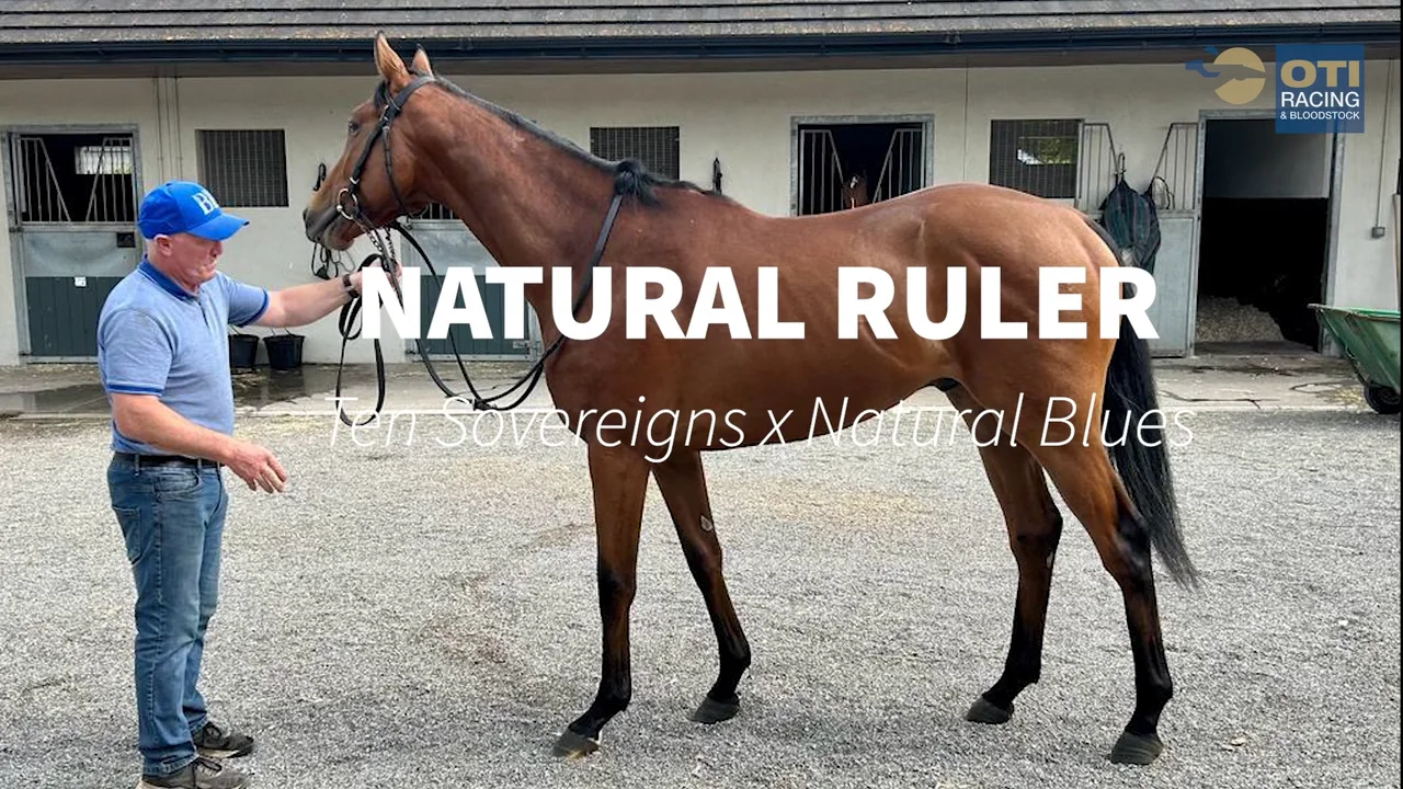NATURAL RULER on Vimeo
