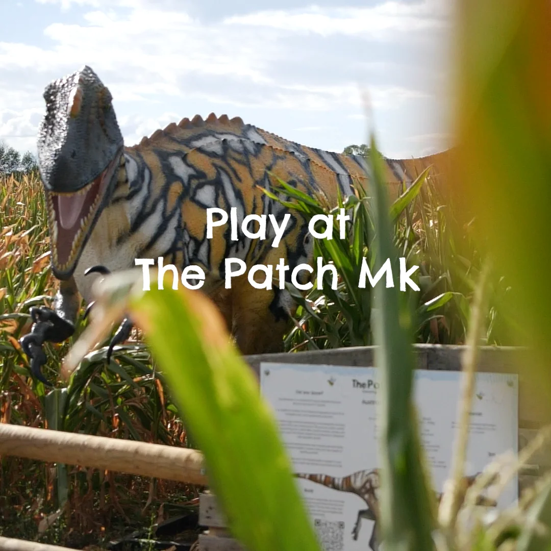 Play at The Patch MK
