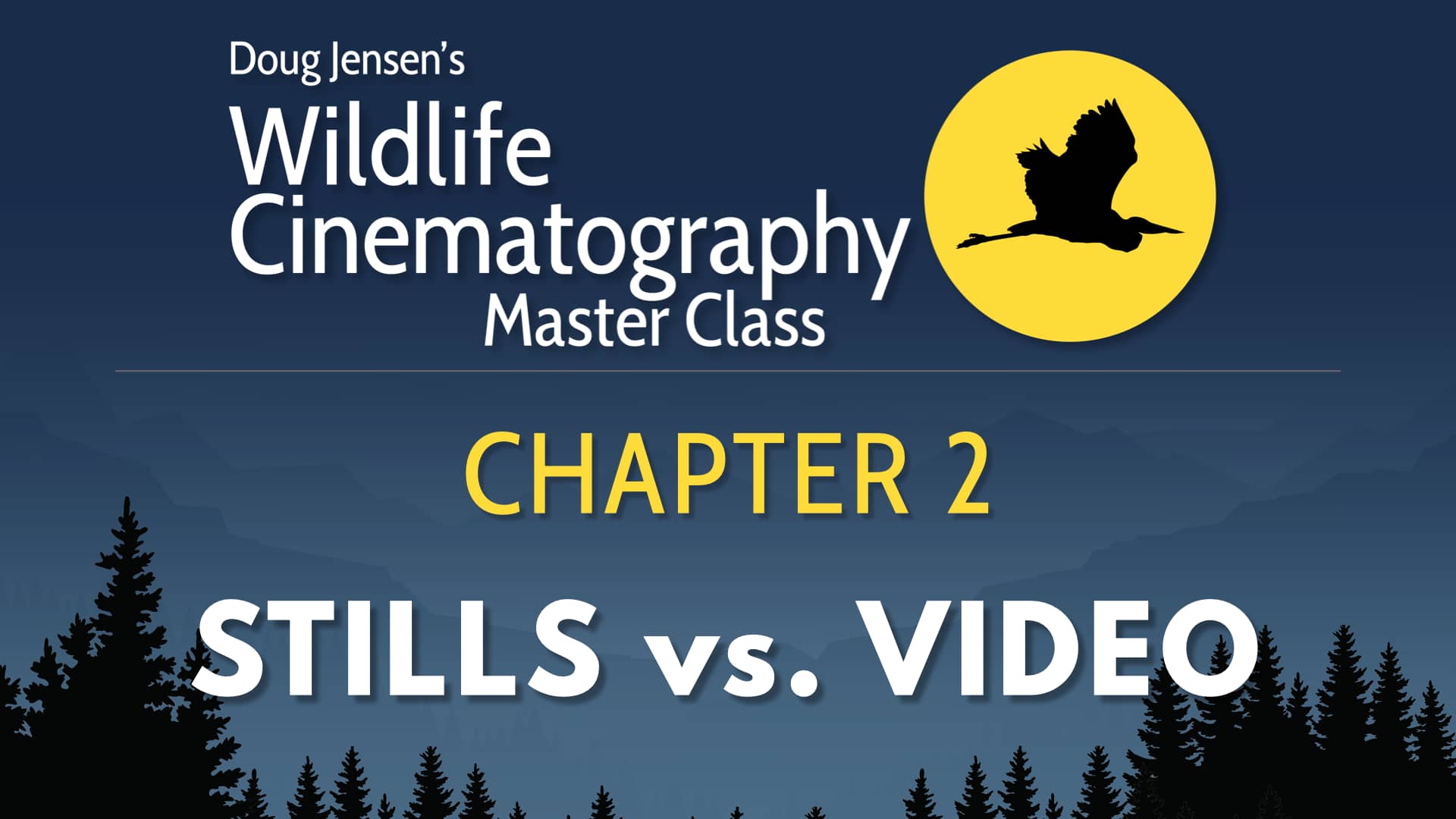 Wildlife Cinematography Chapter 2: Stills vs. Video on Vimeo