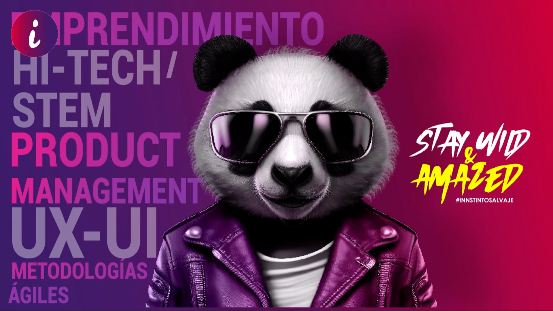 Panda el Oso nos Presenta los Valores y Principios en Startup Mindset ...