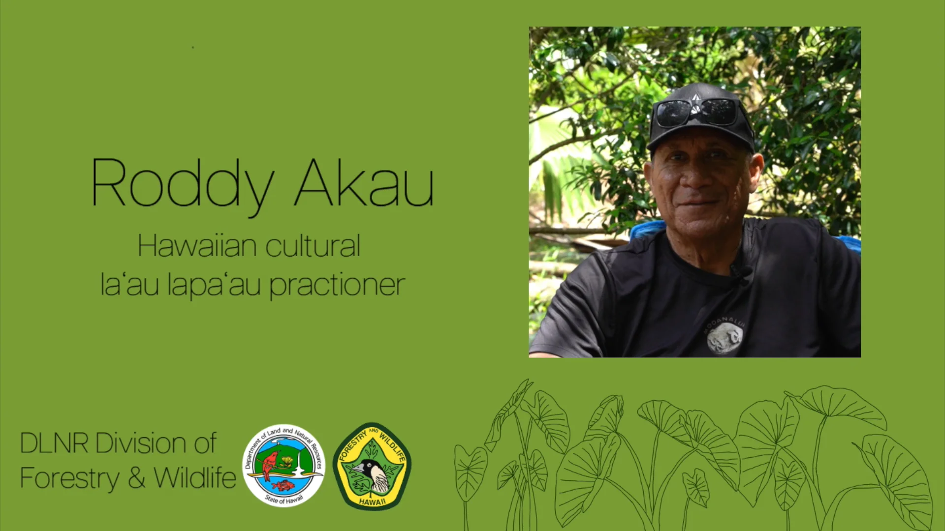 ʻIke Kaiāulu- Lāʻau lapaʻau with Roddy Akau