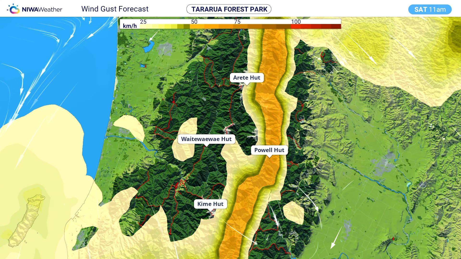 Tararua Forest Park Weather Outlook on Vimeo