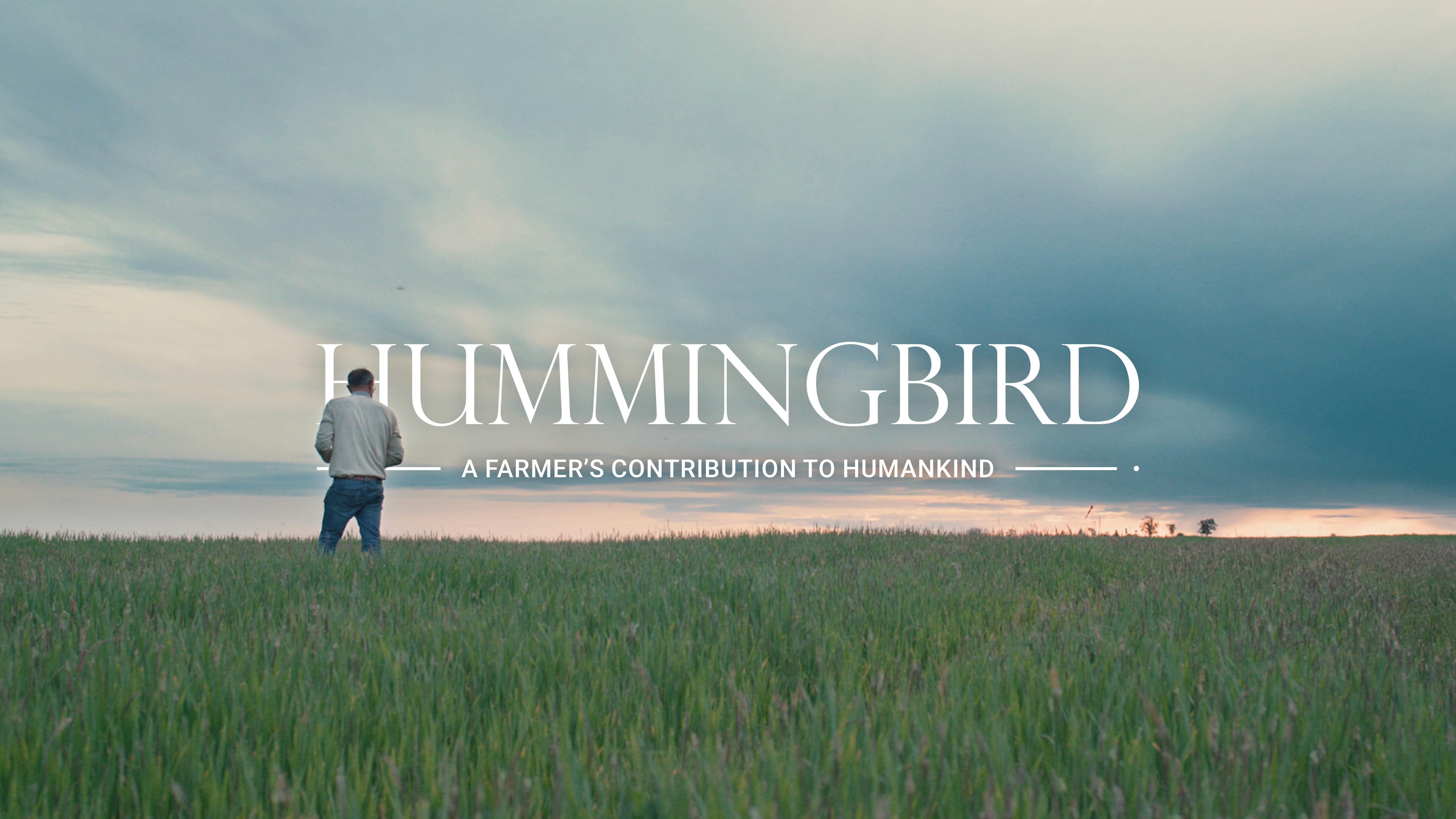HUMMINGBIRD - Short Documentary on Vimeo