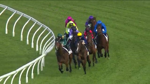 I Am Invincible - Stallion | Breednet