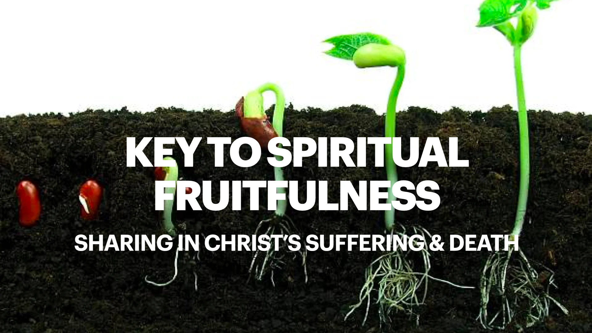 Key To Spiritual Fruitfulness on Vimeo