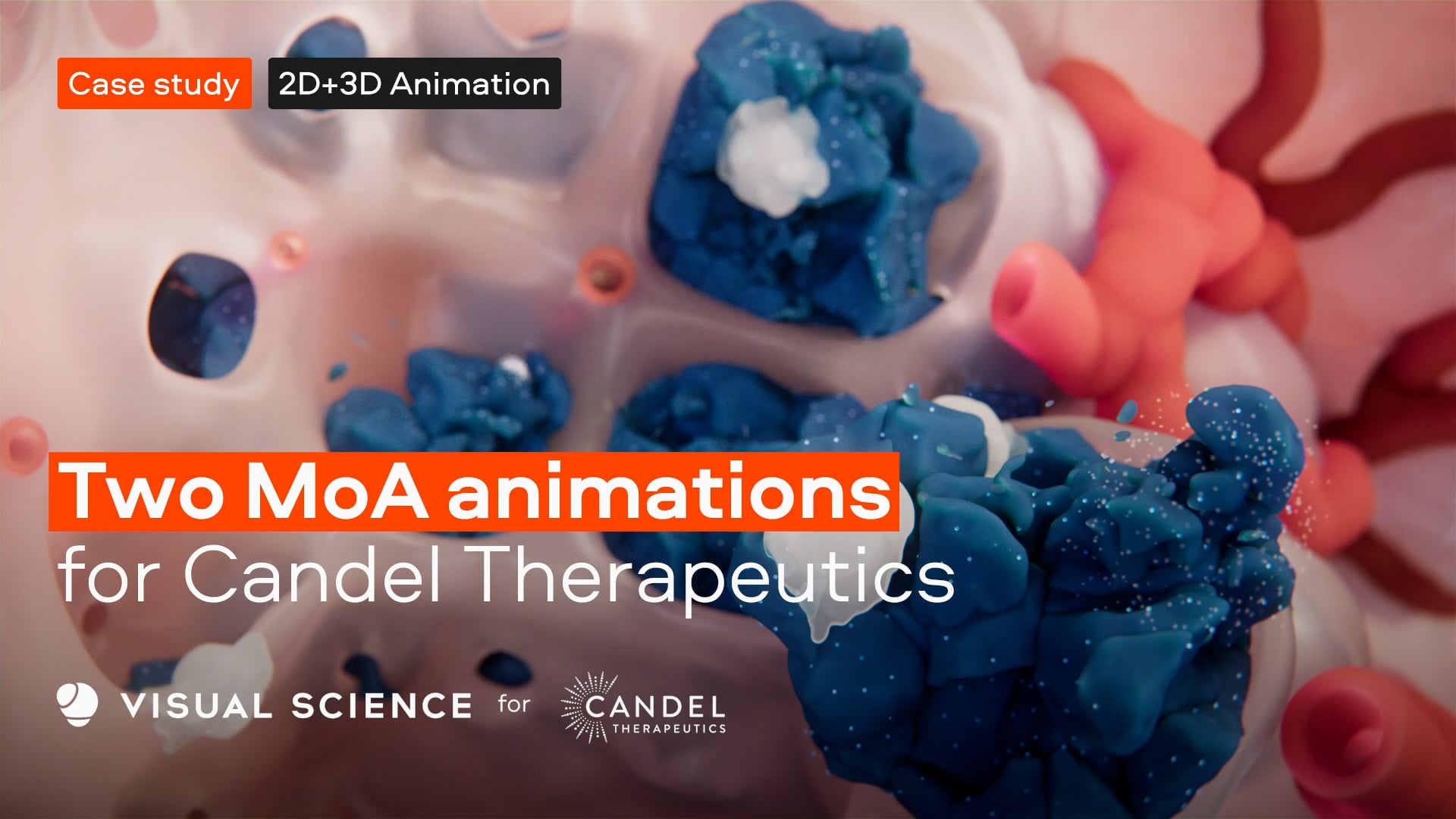 Candel Therapeutics (NAS: CADL). Two MoA animations case study on Vimeo