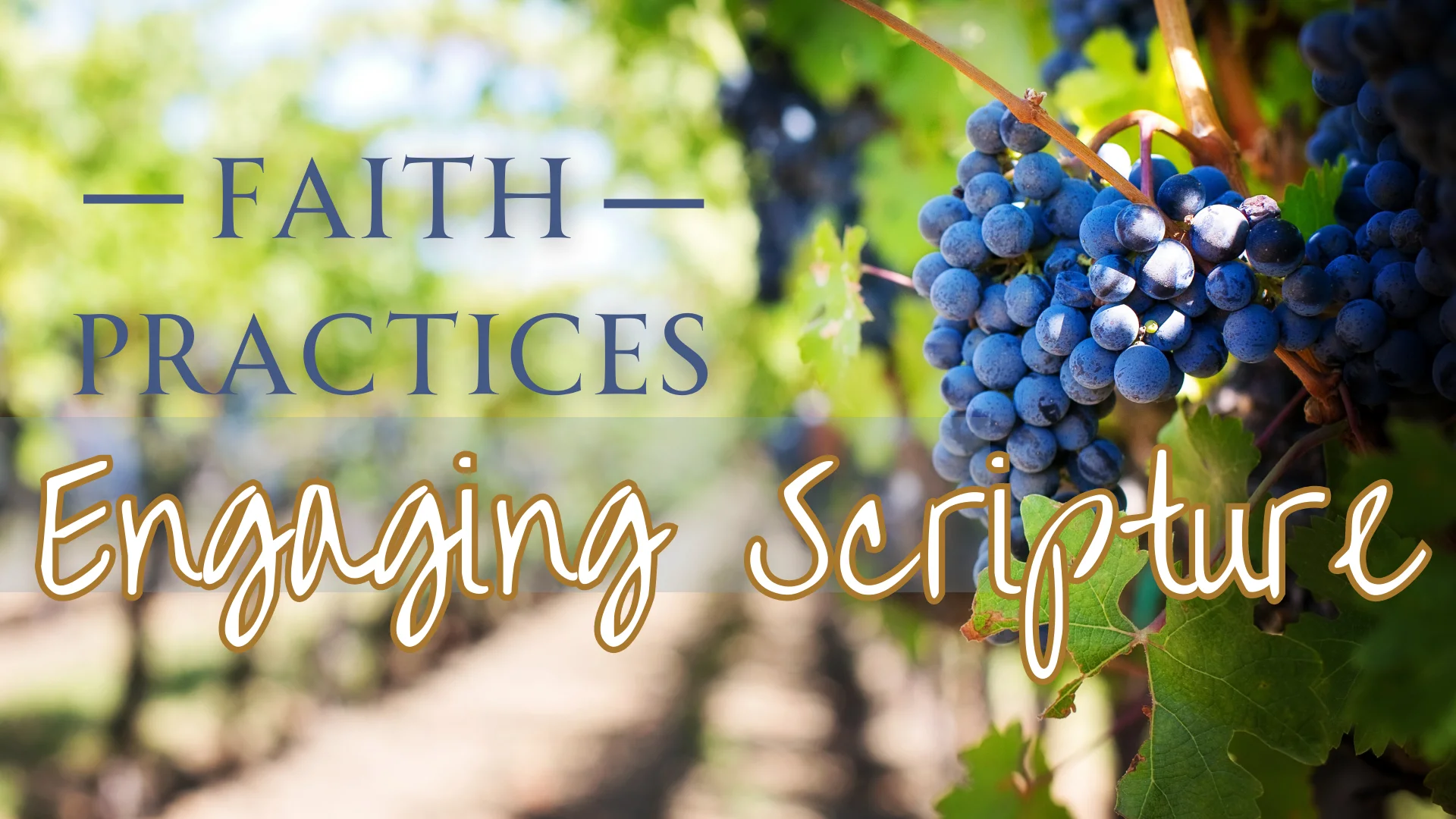 Sermon Series - Faith Practices - Faith Practices: "Engaging Scripture ...