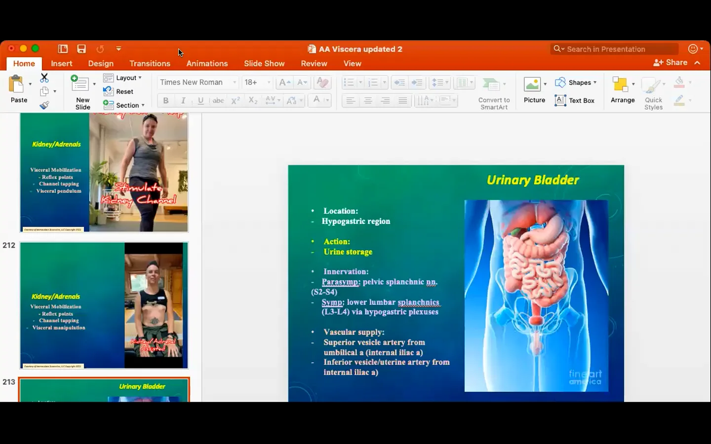 Urinary Bladder - lecture on Vimeo