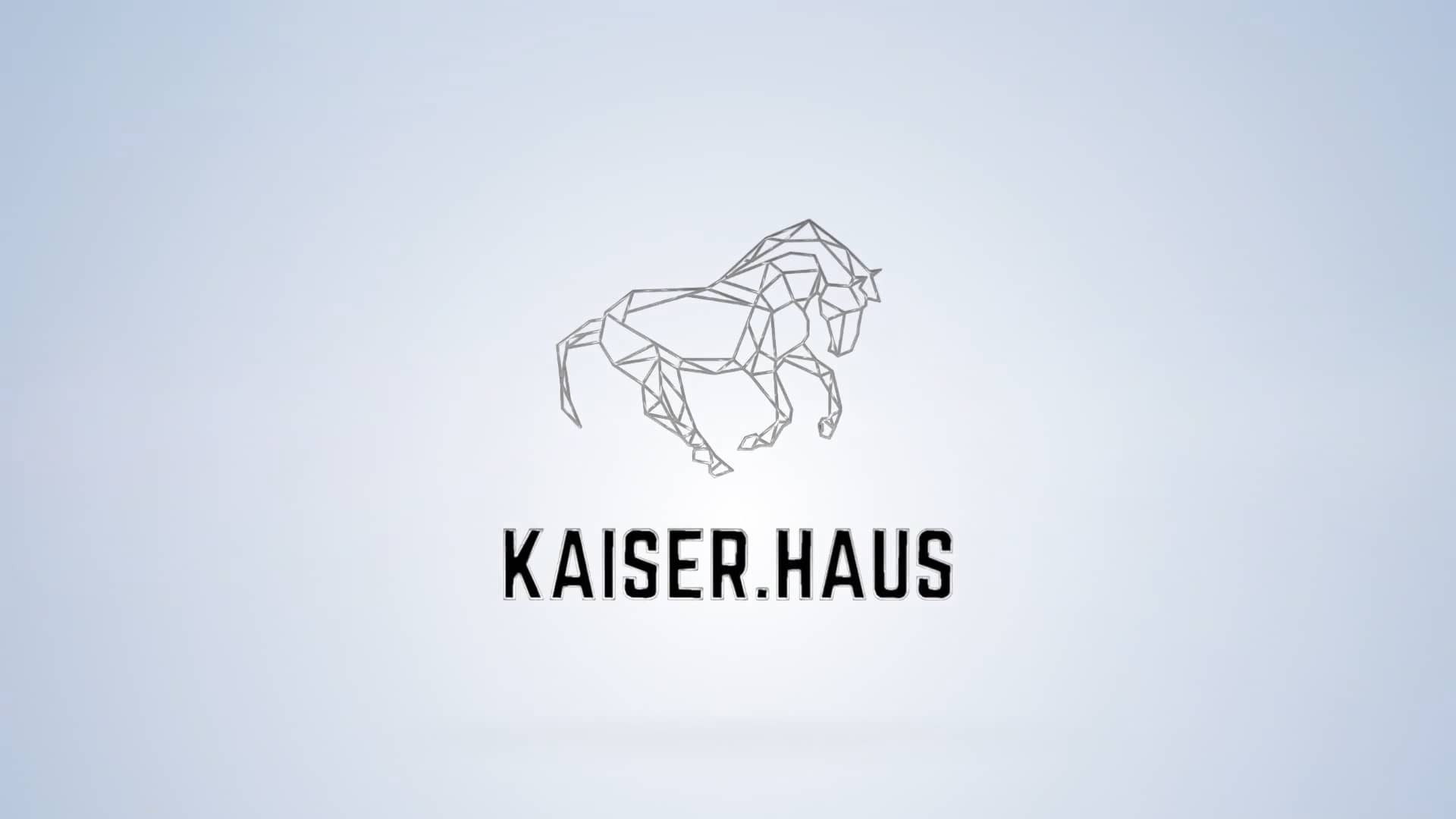 Demo Video Kaiser Software Interfaces on Vimeo