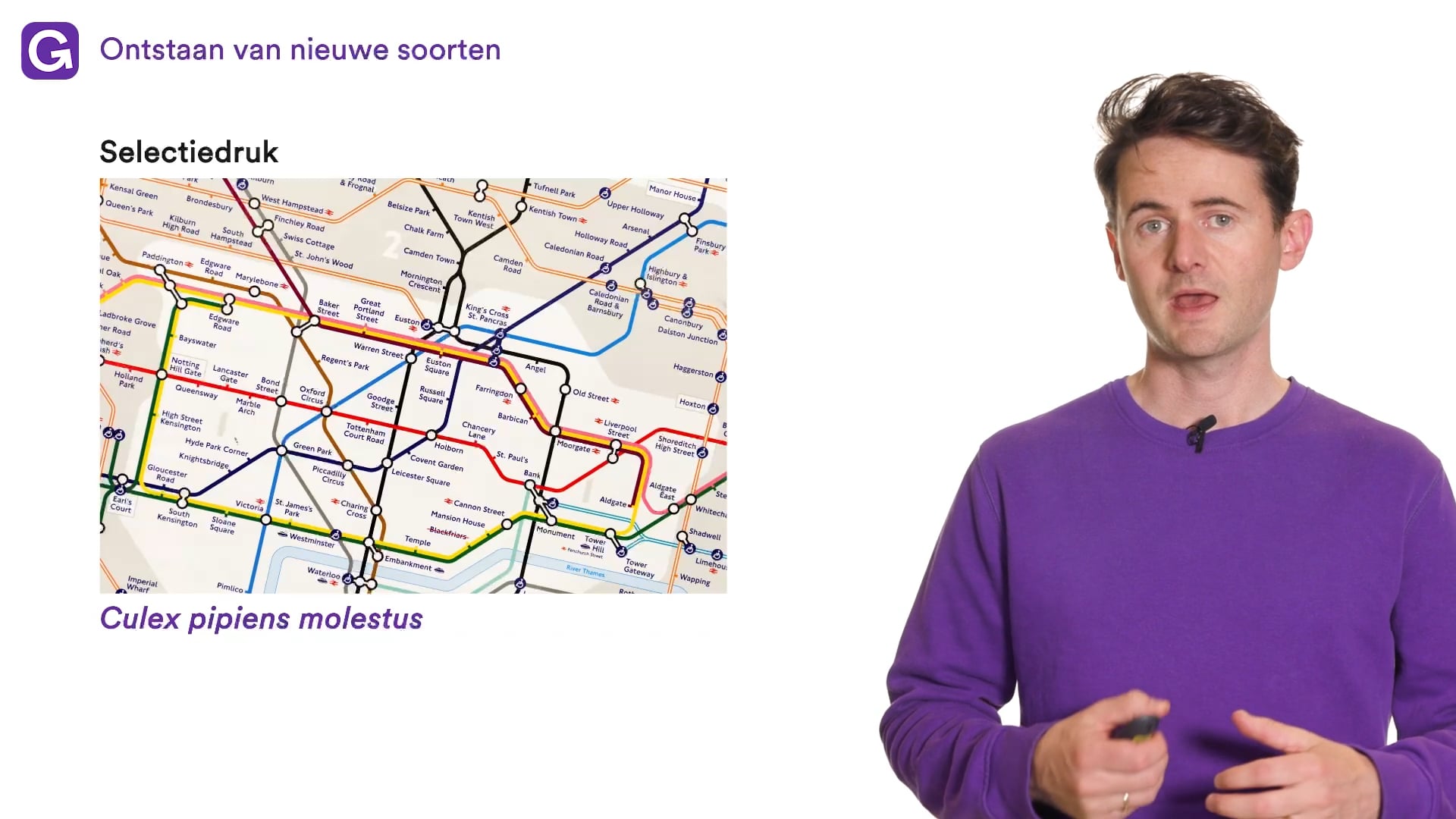 Ontstaan van nieuwe soorten oefenen | StudyGo