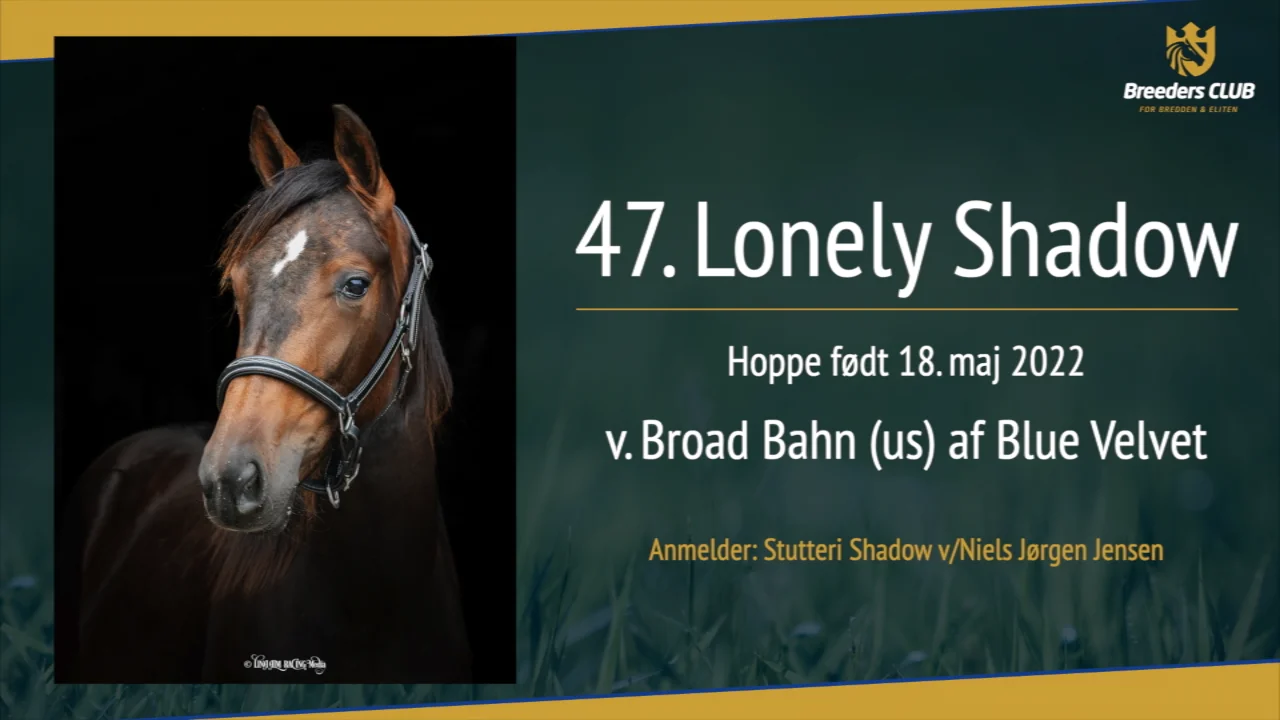 47. Lonely Shadow on Vimeo