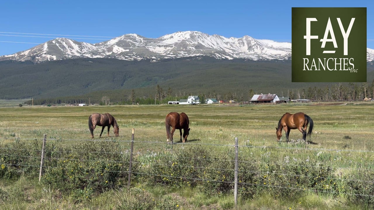 Lake Fork Ranch - Republic Ranches
