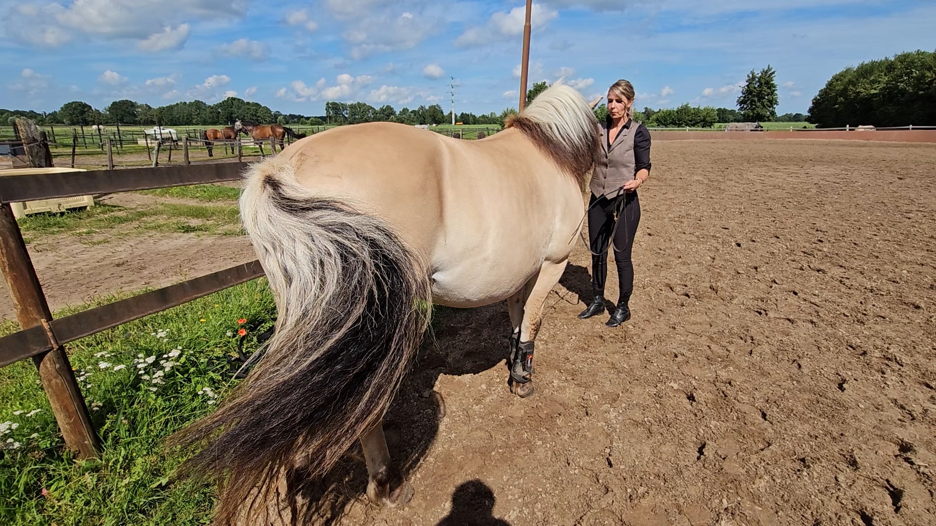 Chenkie Schouder binnenwaarts rechts on Vimeo