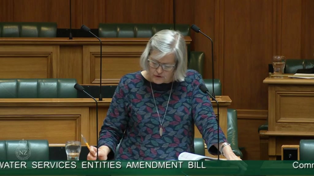 Water Services Entities Amendment Bill - Committee Stage - Part 1 ...