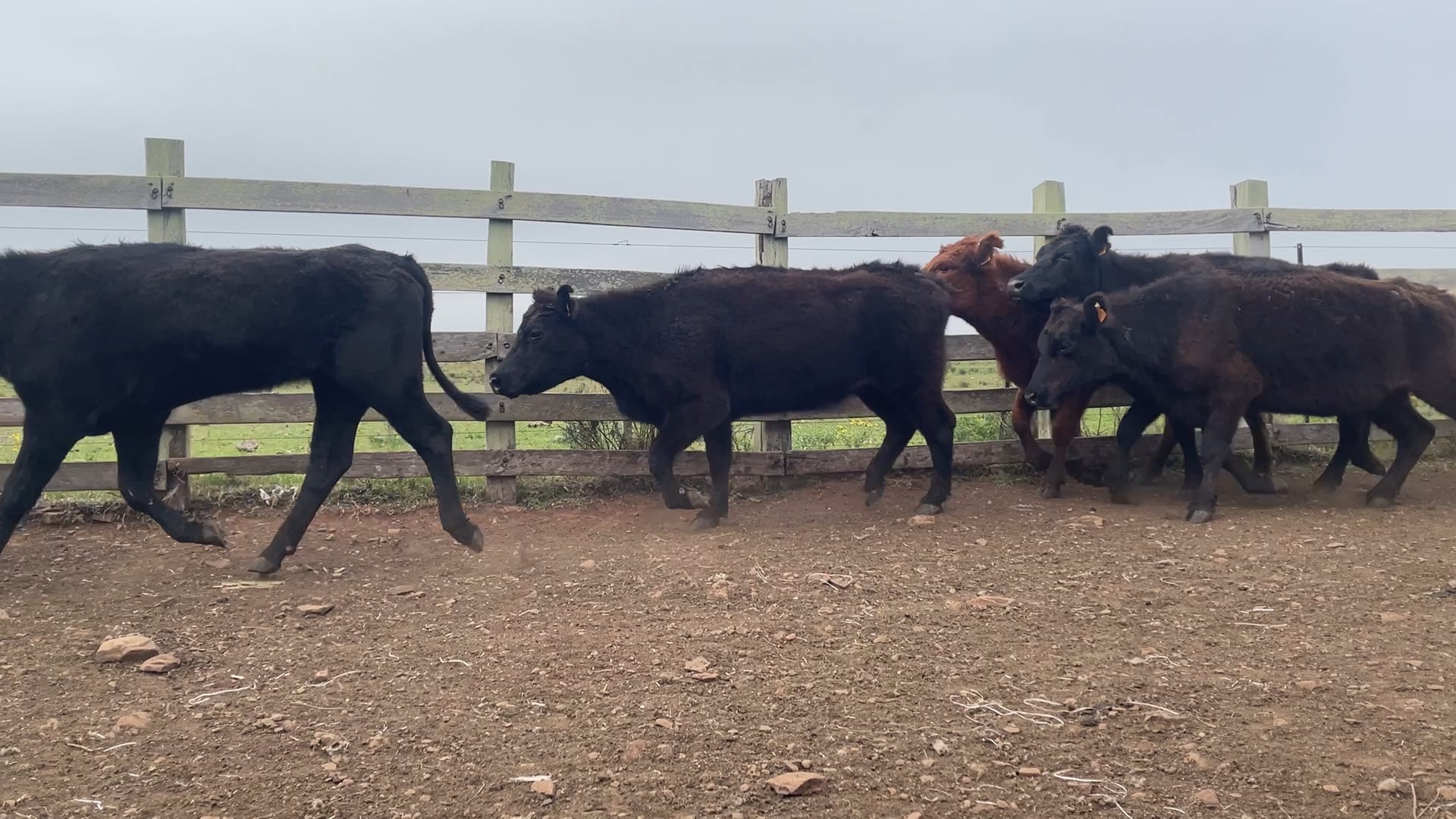 La Rinconada SAS - 193095 on Vimeo