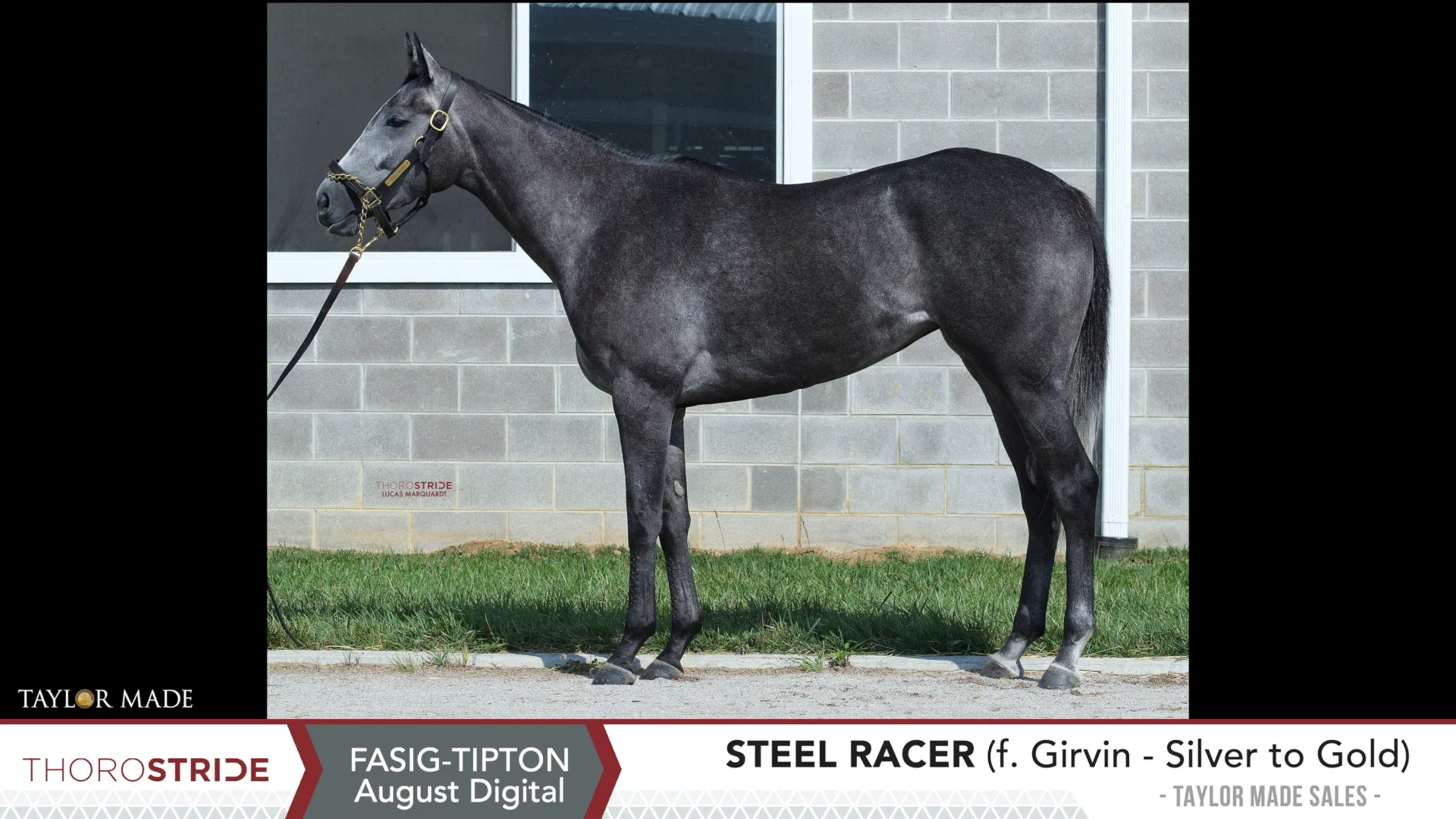 STEEL RACER on Vimeo