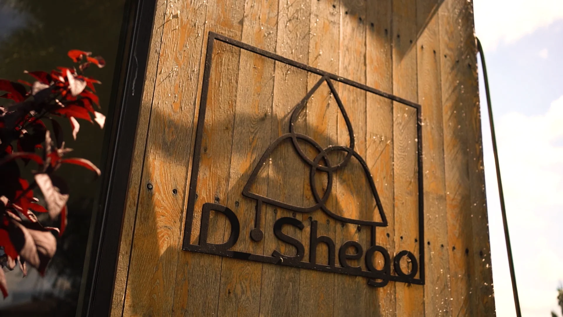 D-shego-demo on Vimeo