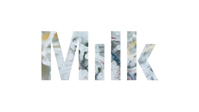 Milk Studios