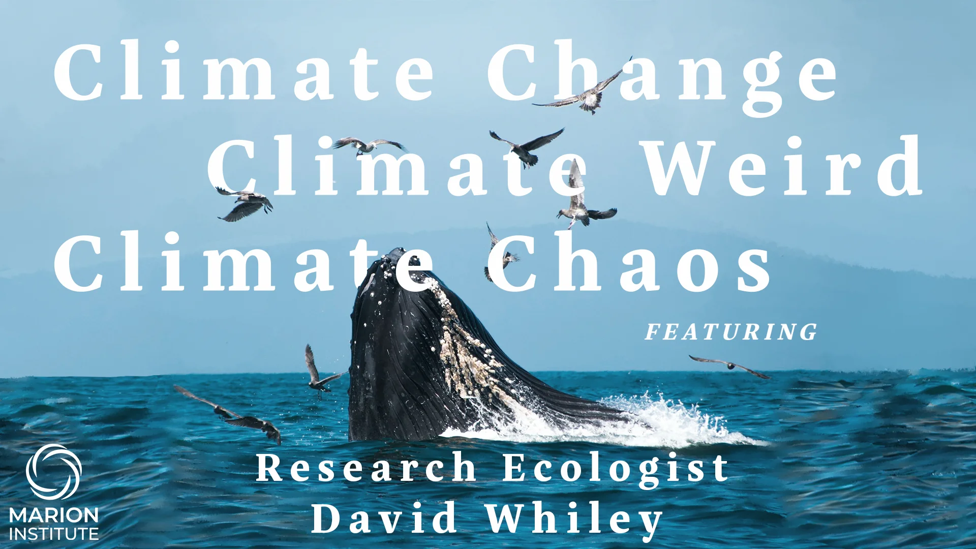 Marion Institute 2023 Connector Series - Climate Change; Climate Weird; Climate Chaos with ...