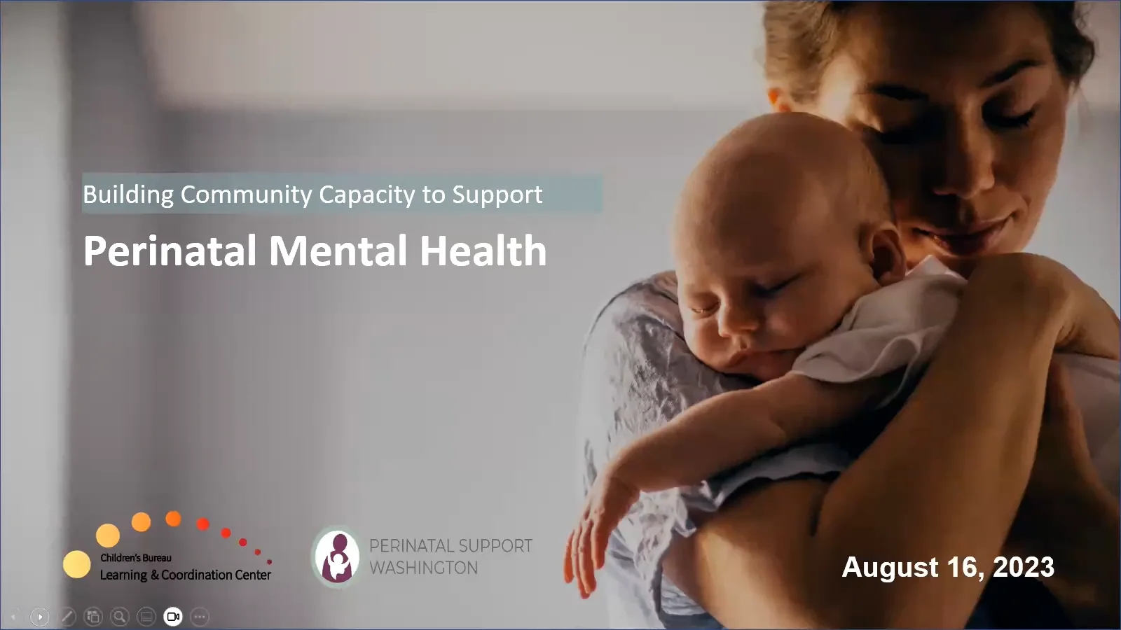 Building Community Capacity to Support Perinatal Mental Health