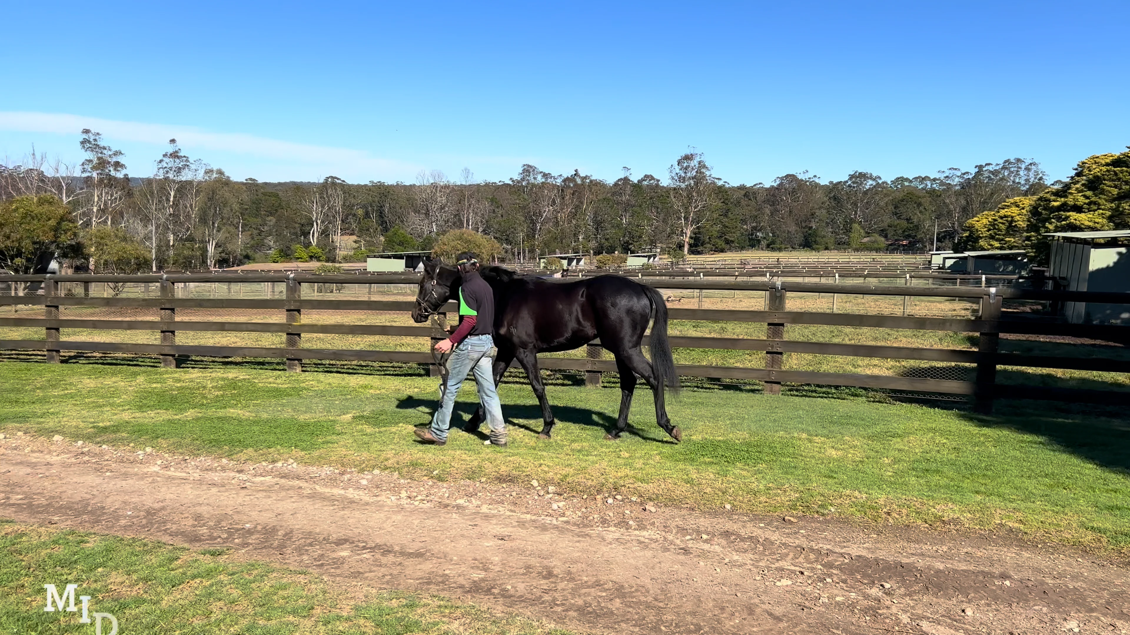 MIDNIGHT DYNAMITE - Spelling Update 17.8.23