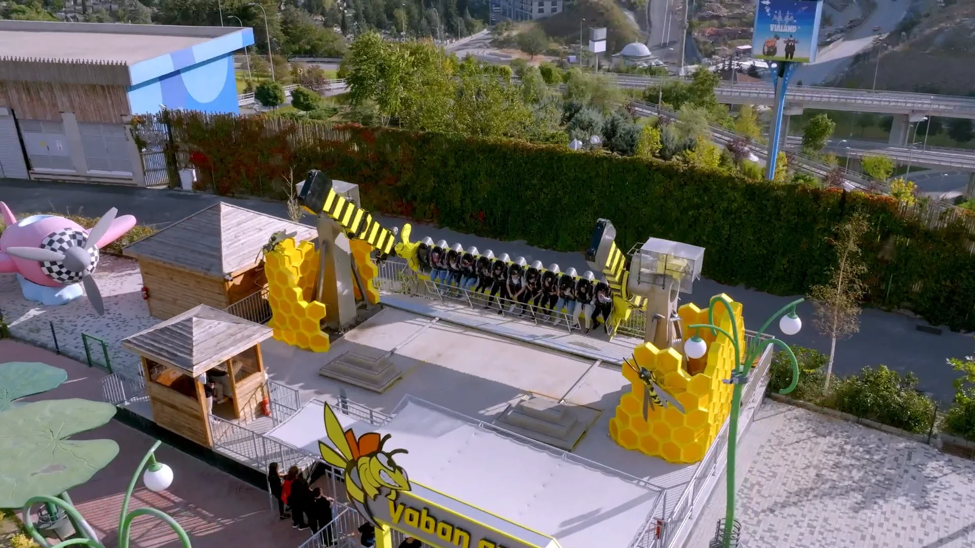 Vialand Yaban Arısı