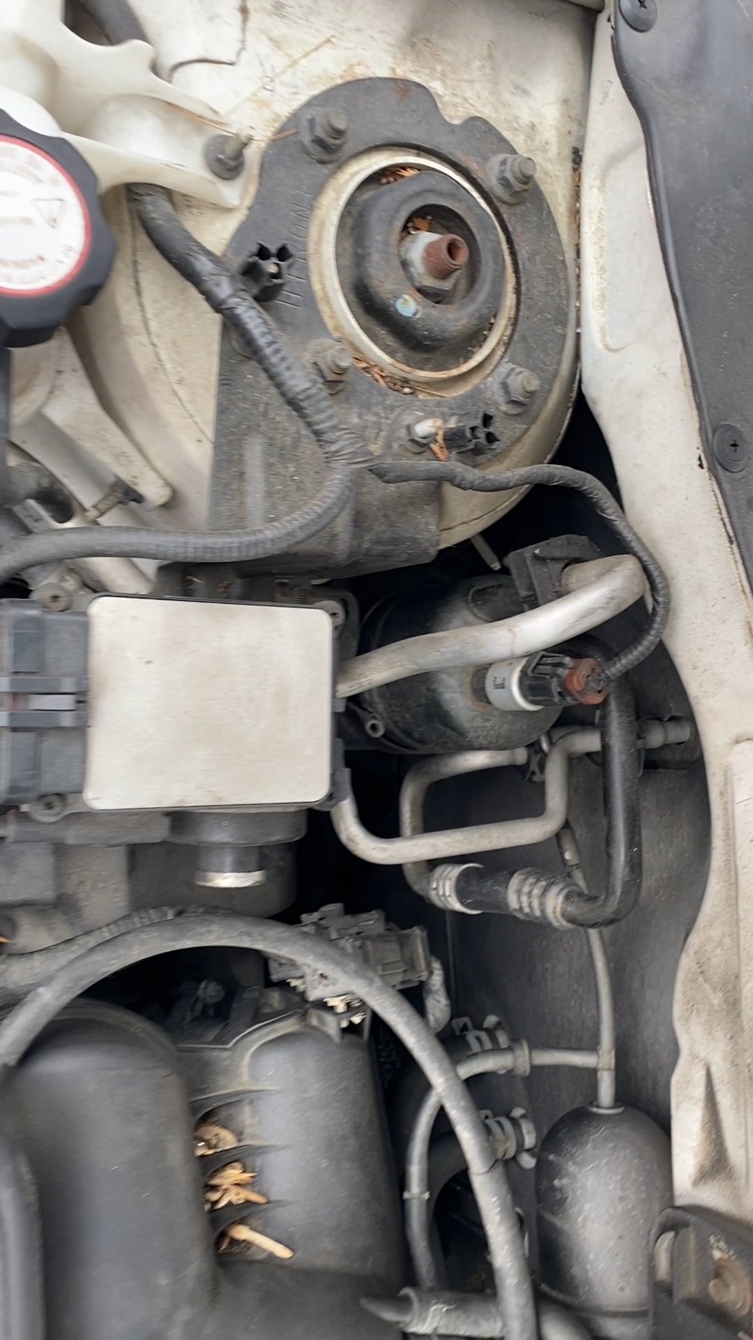 NWW253171 2004 Ford Escape on Vimeo