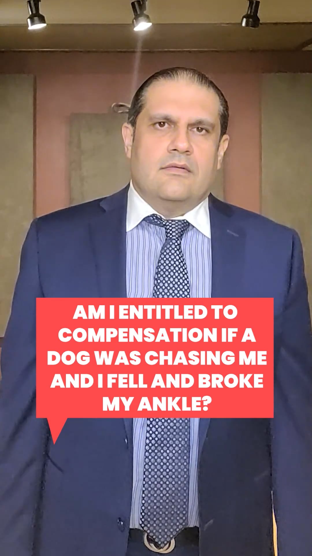 The Law Offices of David P. Kashani, A.P.L.C. - Can I sue if a dog was ...