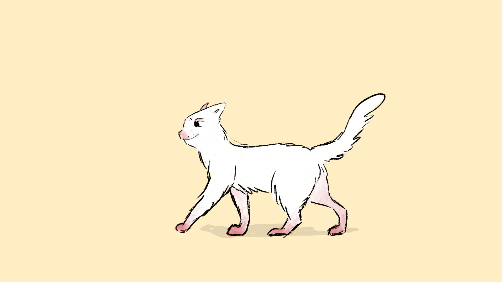 Cat Walk Cycle Frame By Frame Animation on Vimeo