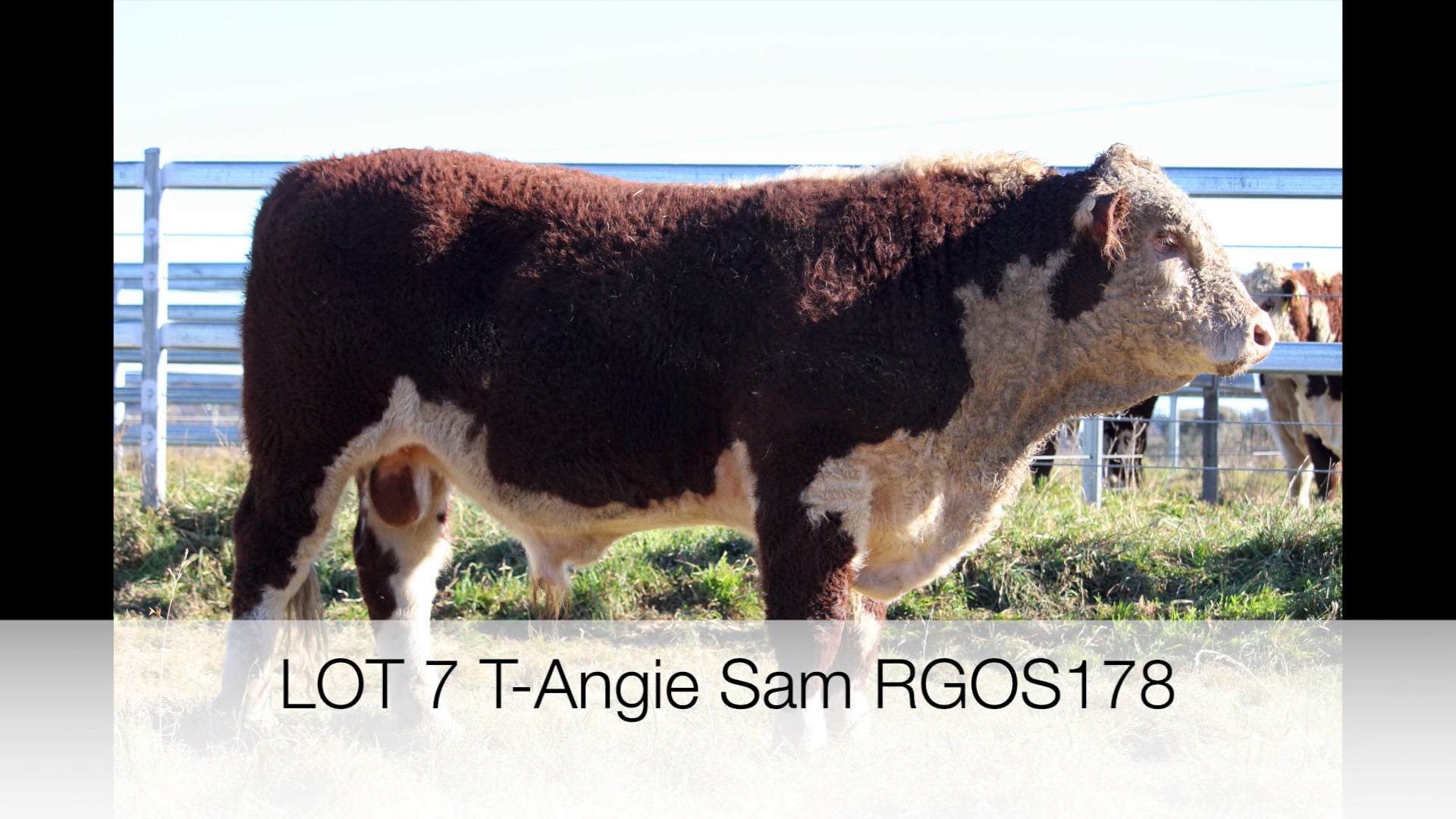 Lot 7 RGOS178 Te-Angie Sam on Vimeo