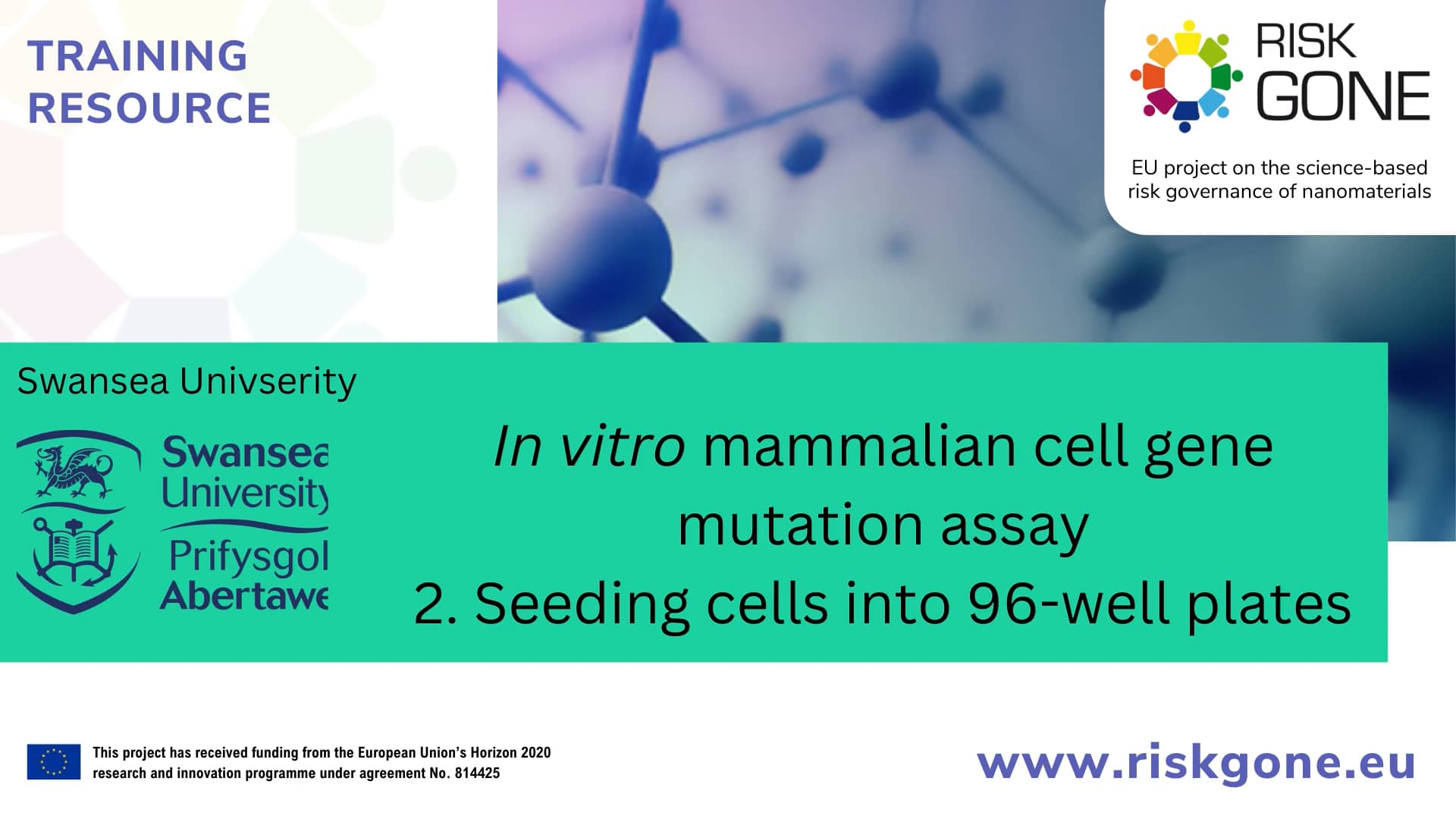 In vitro mammalian cell gene mutation assay - 2. Seeding cells into 96 ...