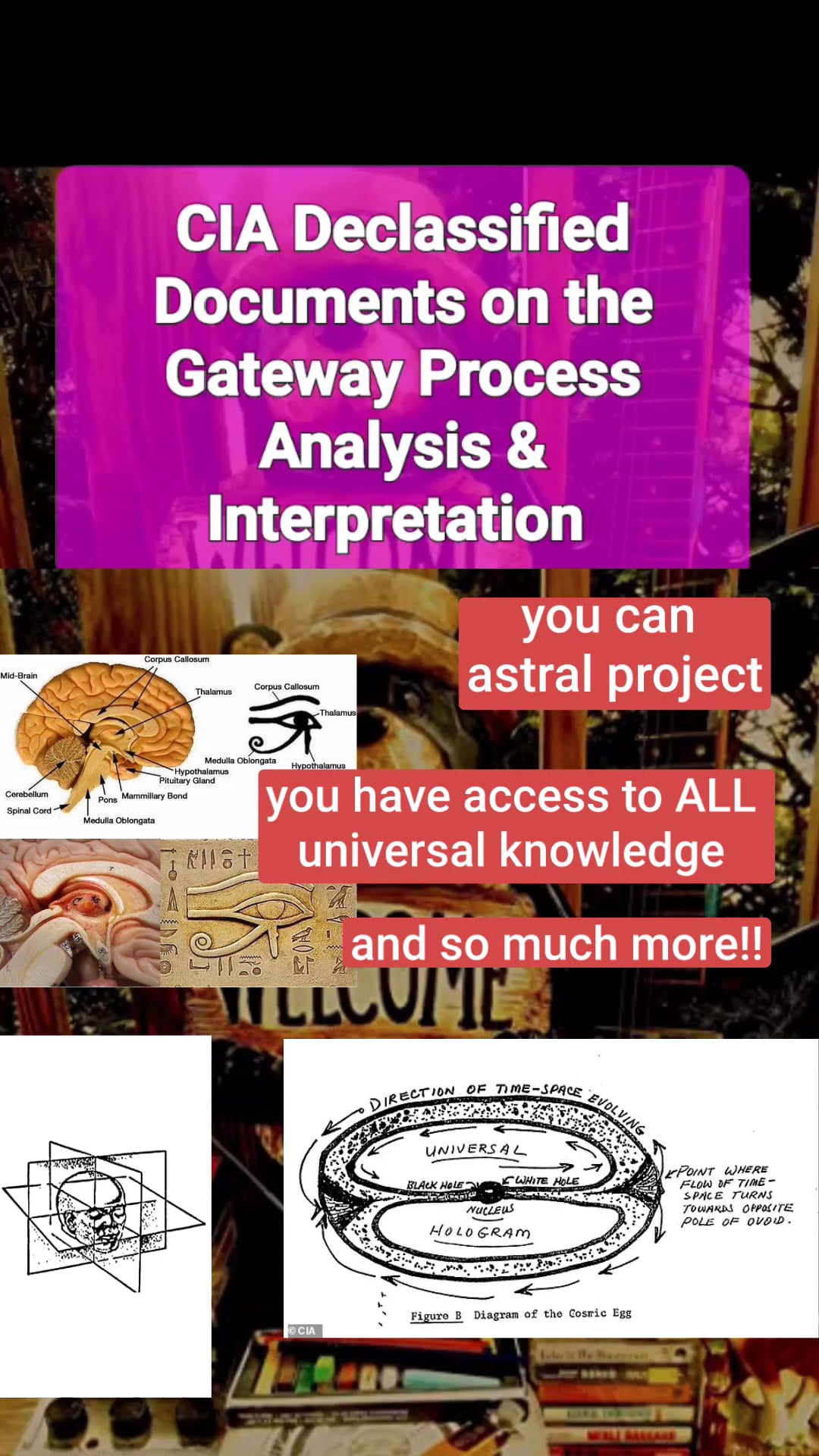 CIA Declassified Documents on The Gateway Process Analysis and Interpretation on Vimeo