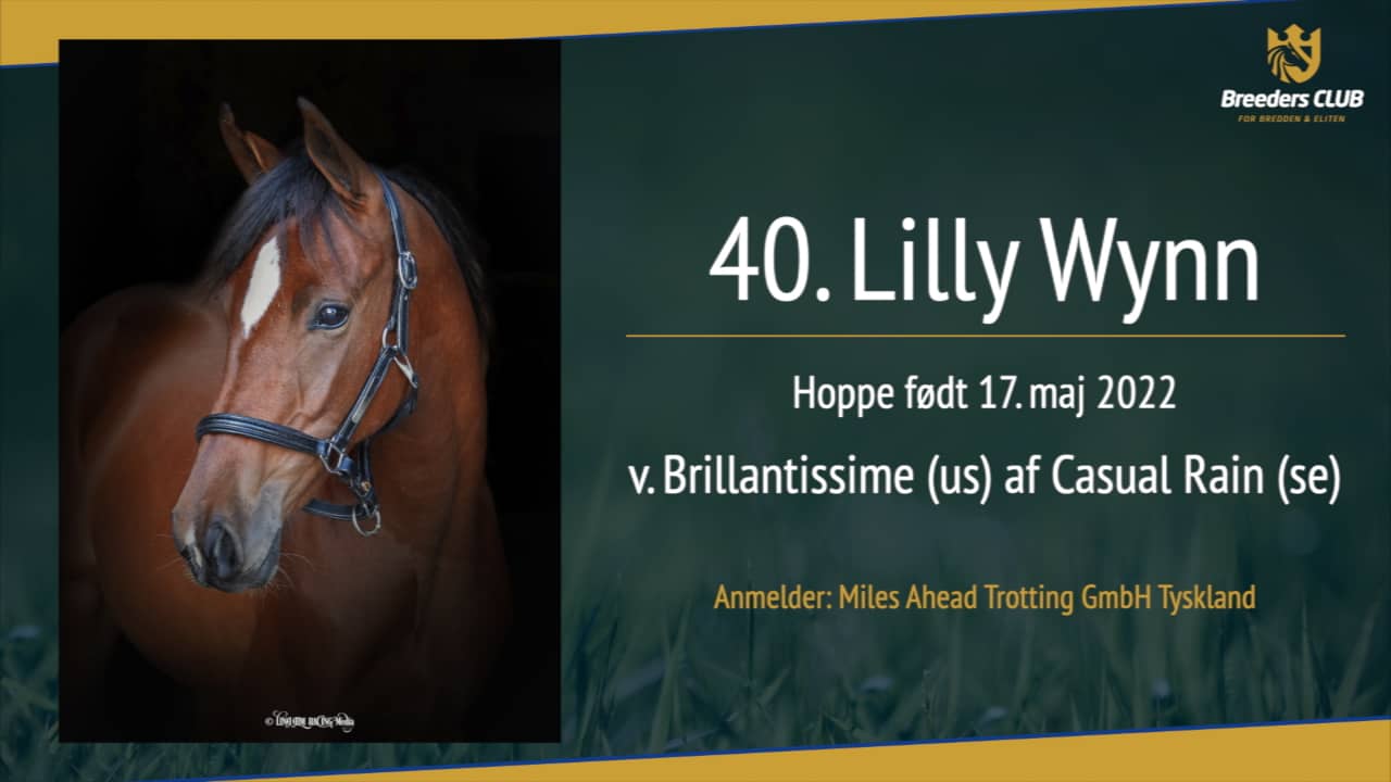 40. Lilly Wynn on Vimeo