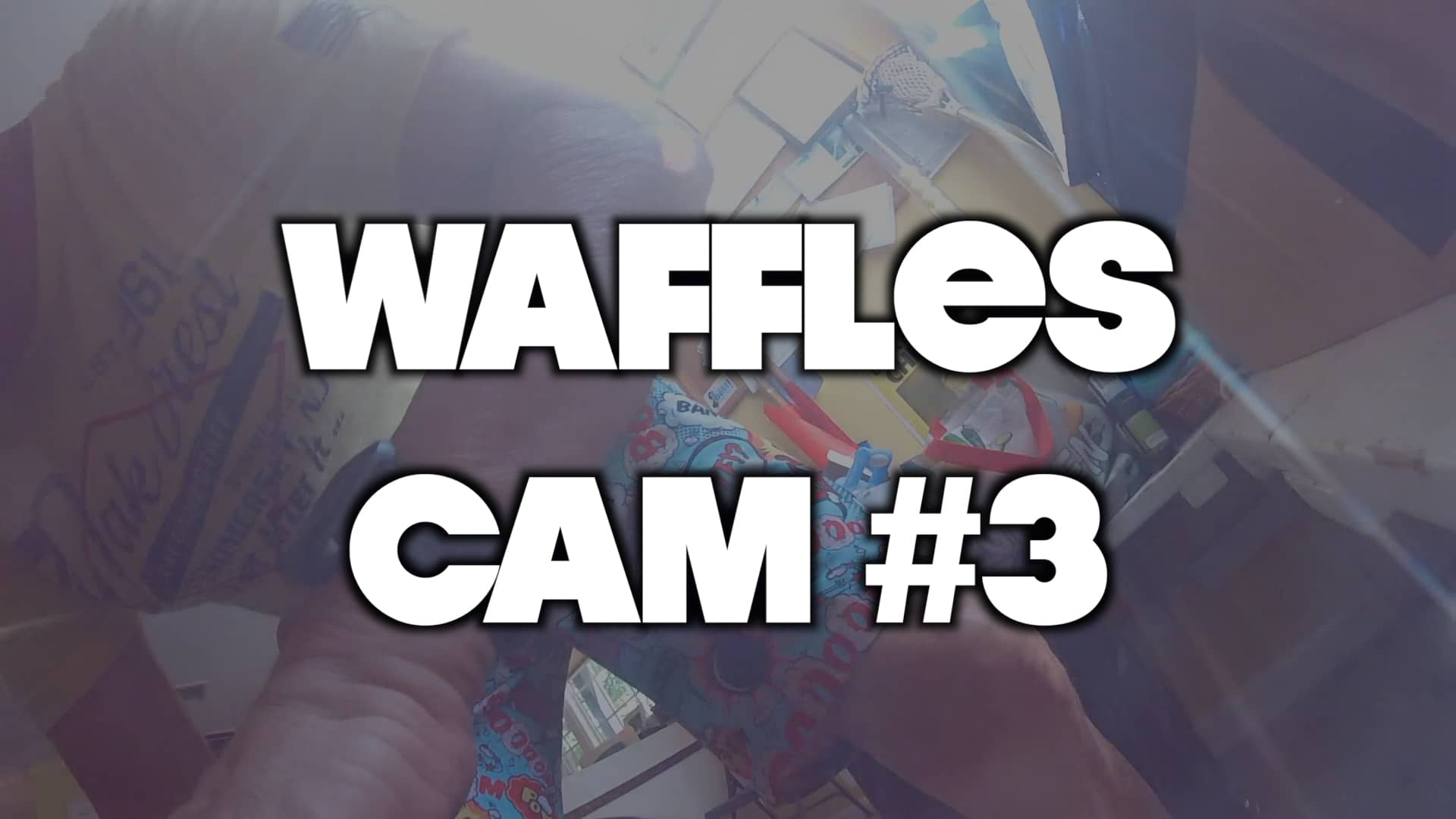 Waffles Cam #3 on Vimeo