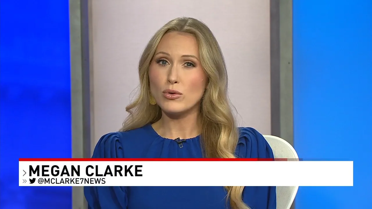 MEGAN CLARKE 7 27 ANCHORING BLUE DRESS