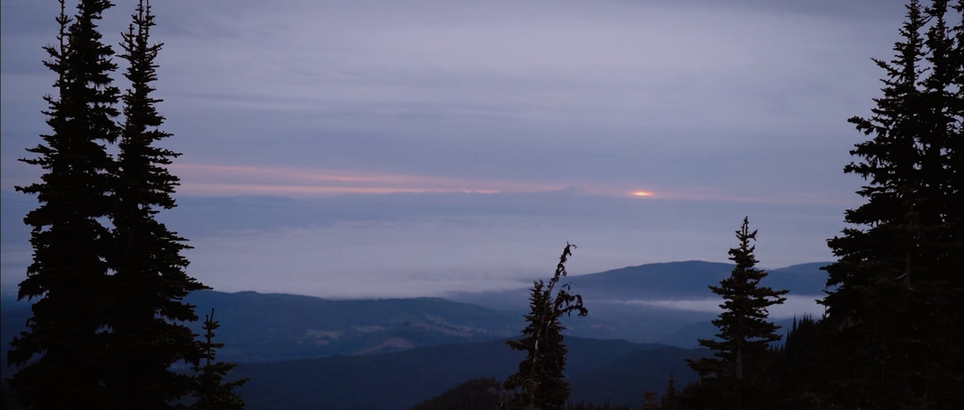 Deer Witness | Whitney & Jo on Vimeo